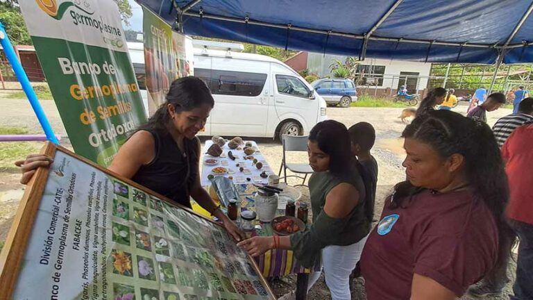 CATIE promueve salud y saberes ancestrales en feria realizada en ...