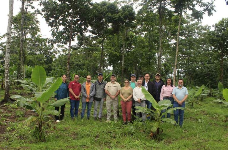 INTA y CATIE fortalecen cooperación en investigación para cacao y café ...