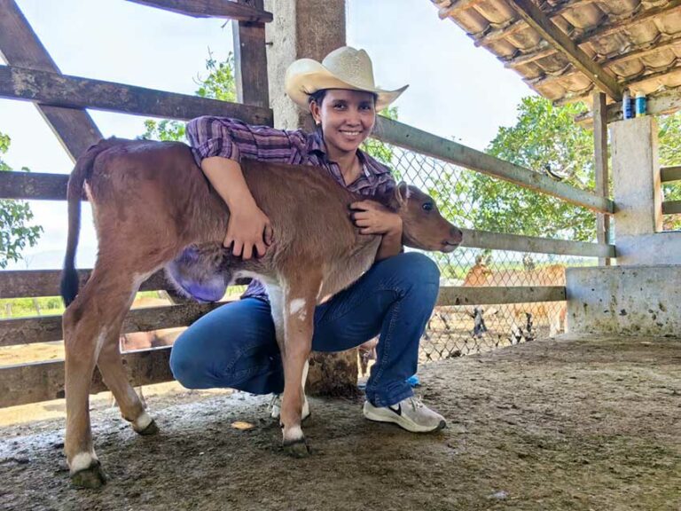 El futuro de la ganadería es sostenible… y se trabaja con manos de ...